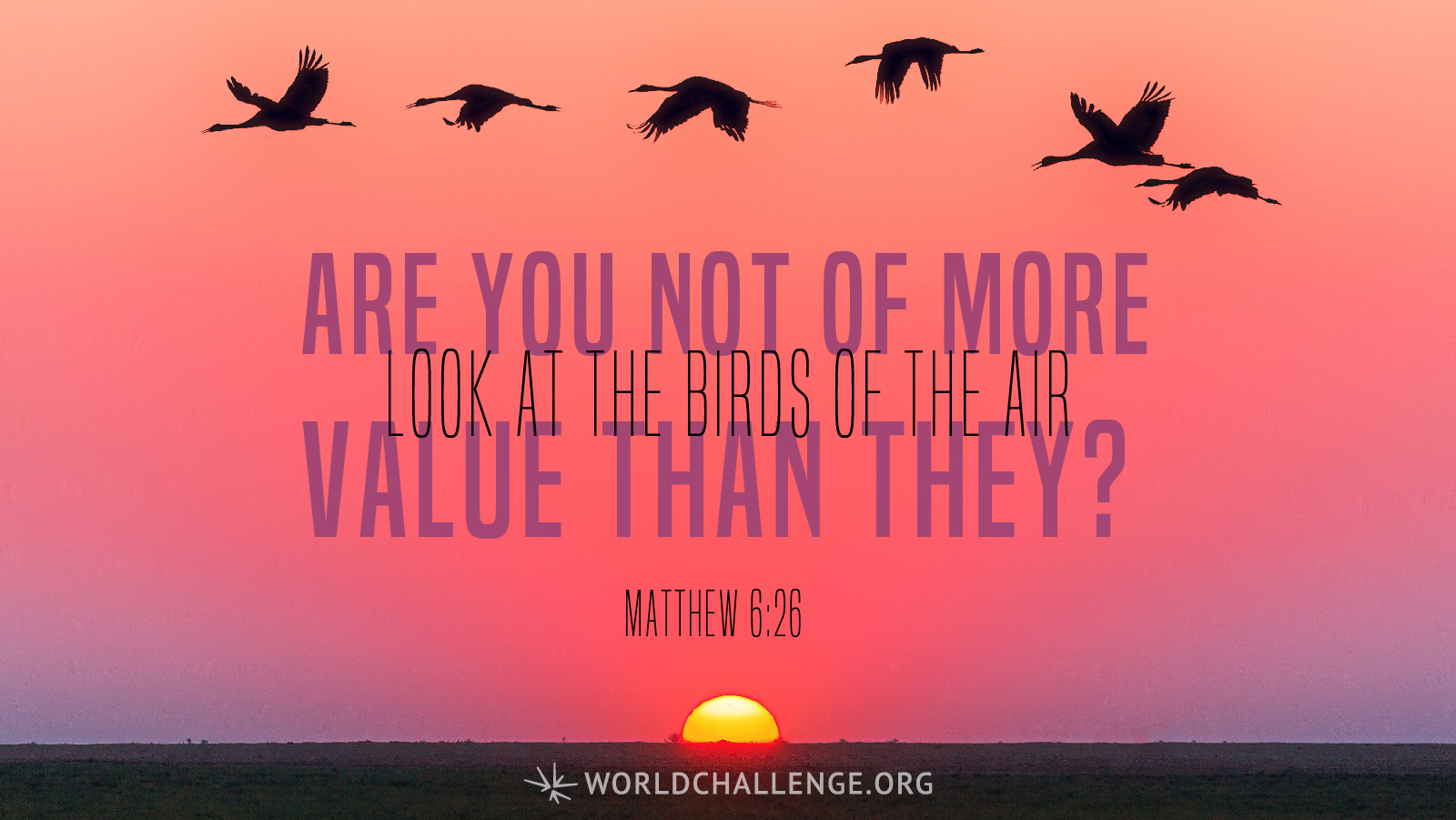 Matthew 6 25 26 World Challenge Matthew 6 25 26 World Challenge