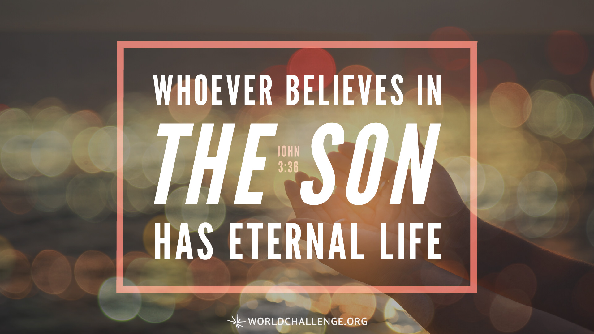 John 3 36 World Challenge