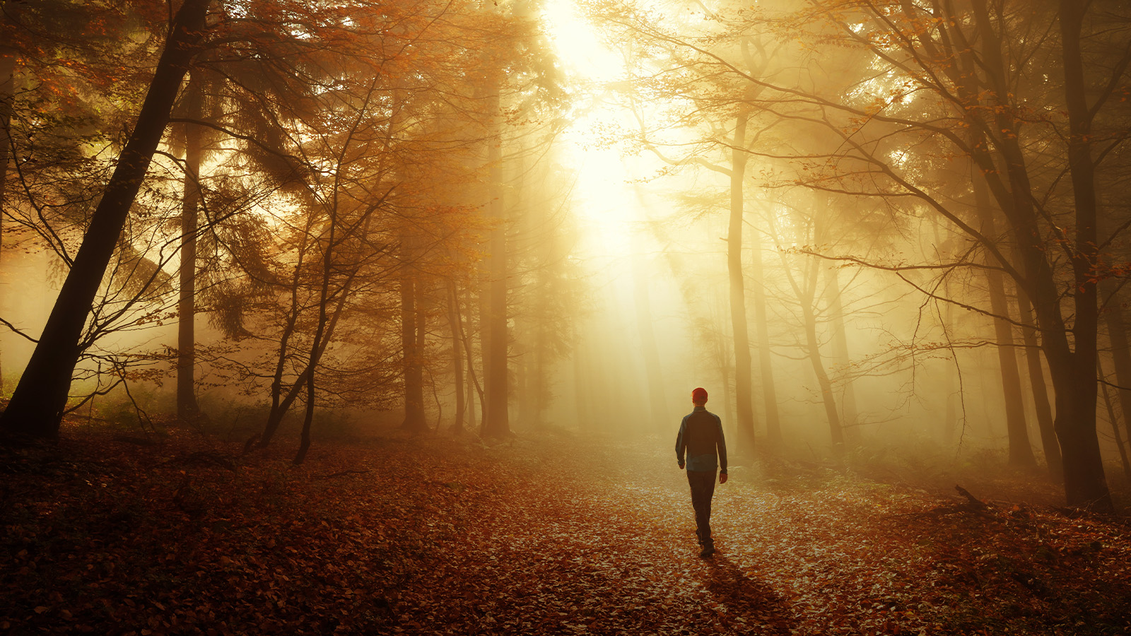 WALKING IN THE GLORY | For ღ of God & Country 🇺🇸