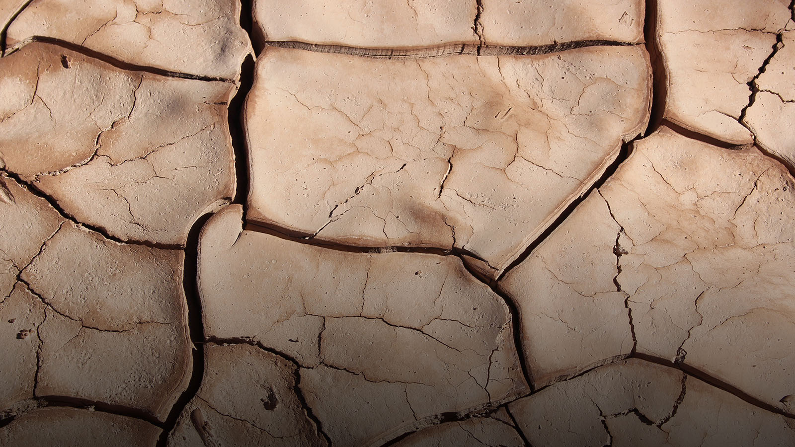 Standing on Dry Ground | worldchallenge.org