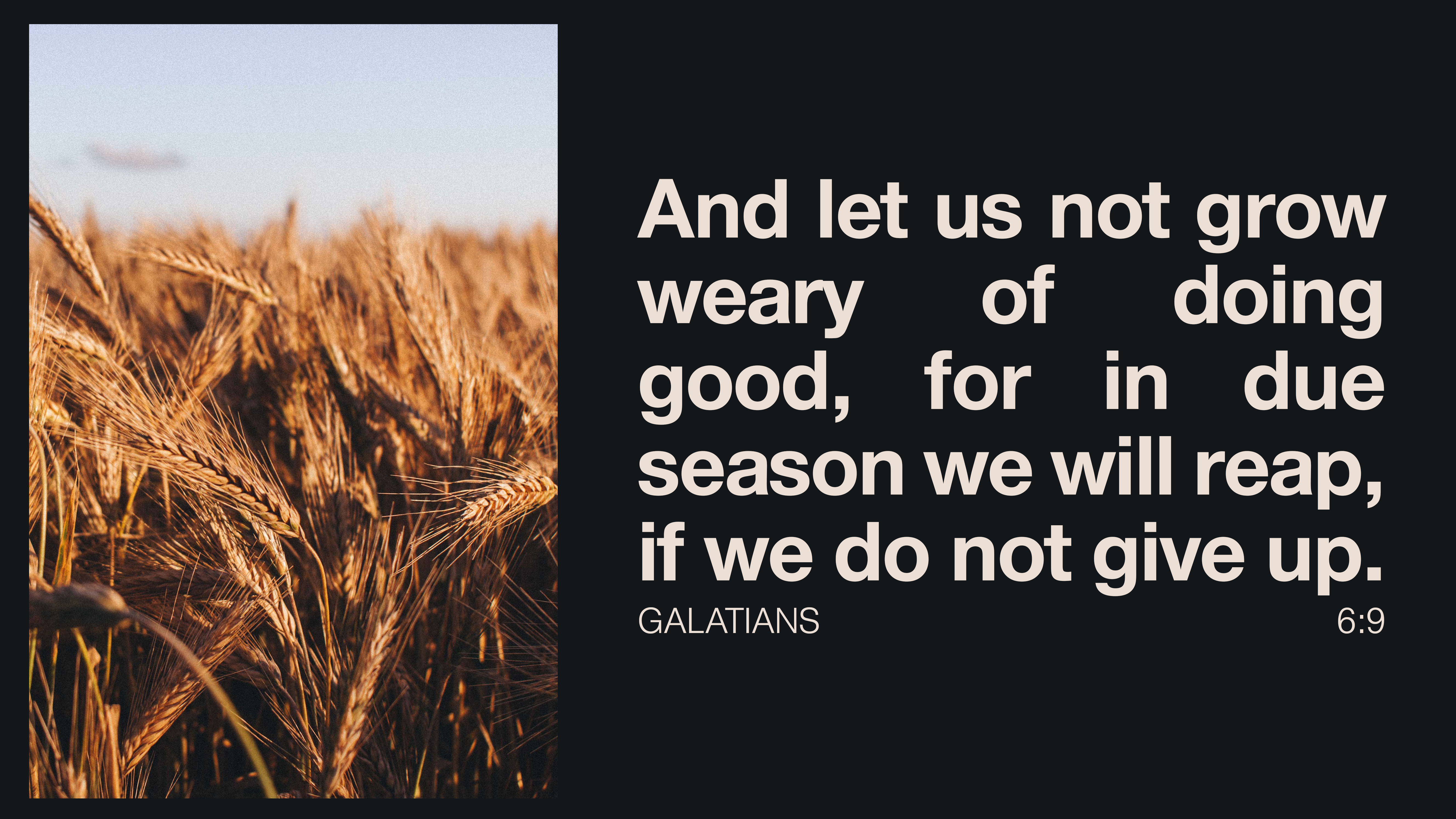 Galatians 6:9 | worldchallenge.org