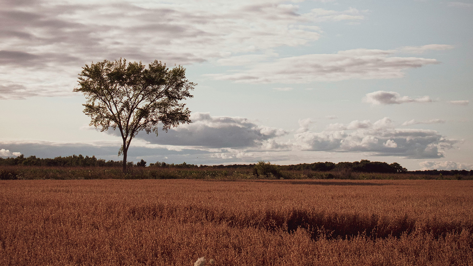 The Blessing of Abraham | worldchallenge.org