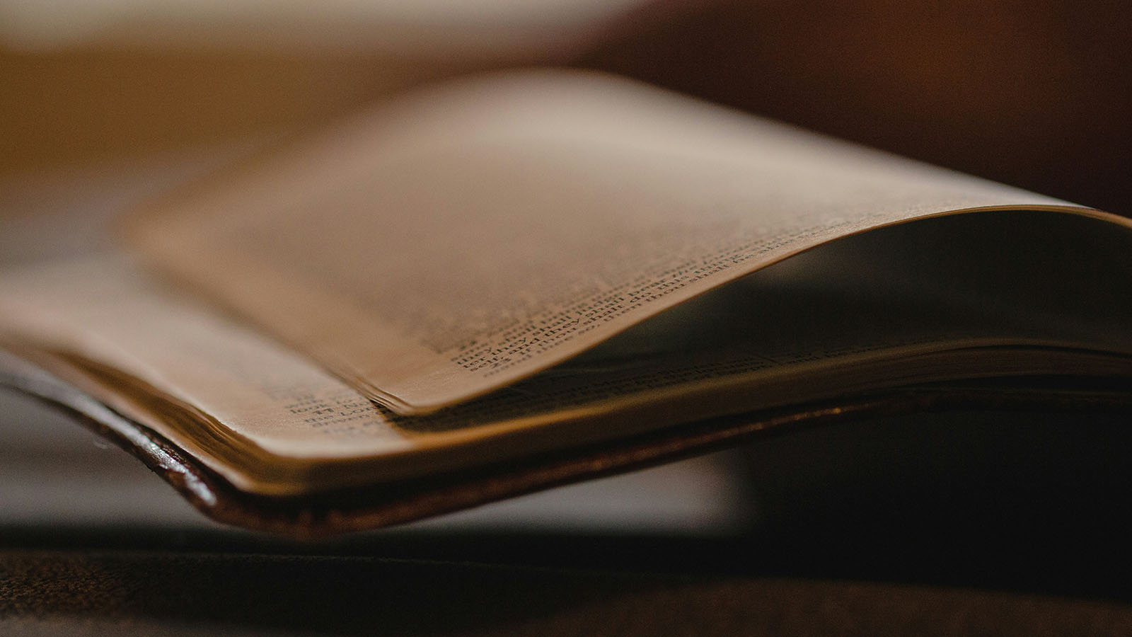 Trust Him as Your Loving Father | worldchallenge.org